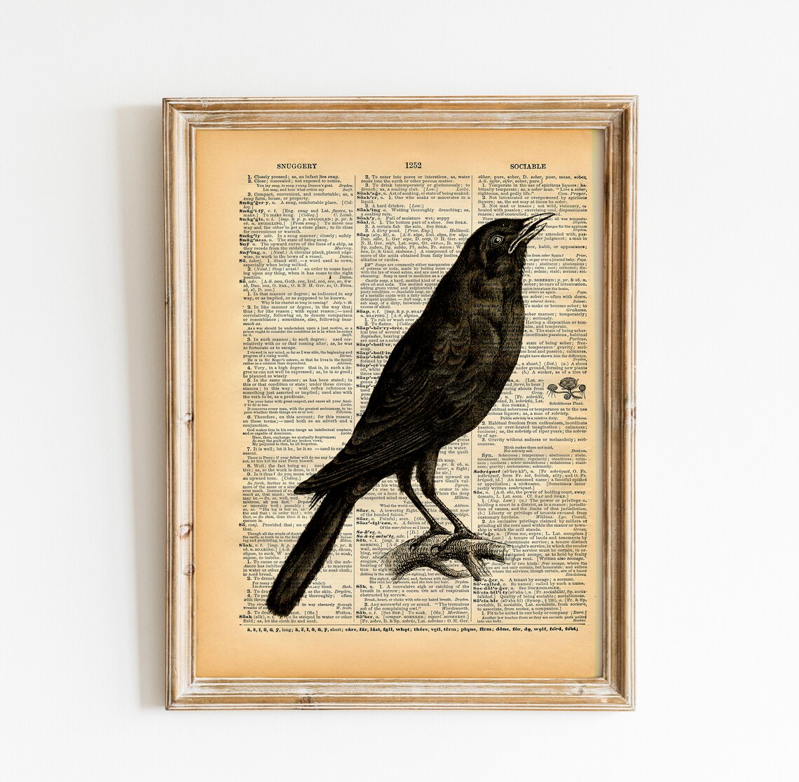 Vintage Book Art Crow Print Natural History Bird Art Print - Etsy