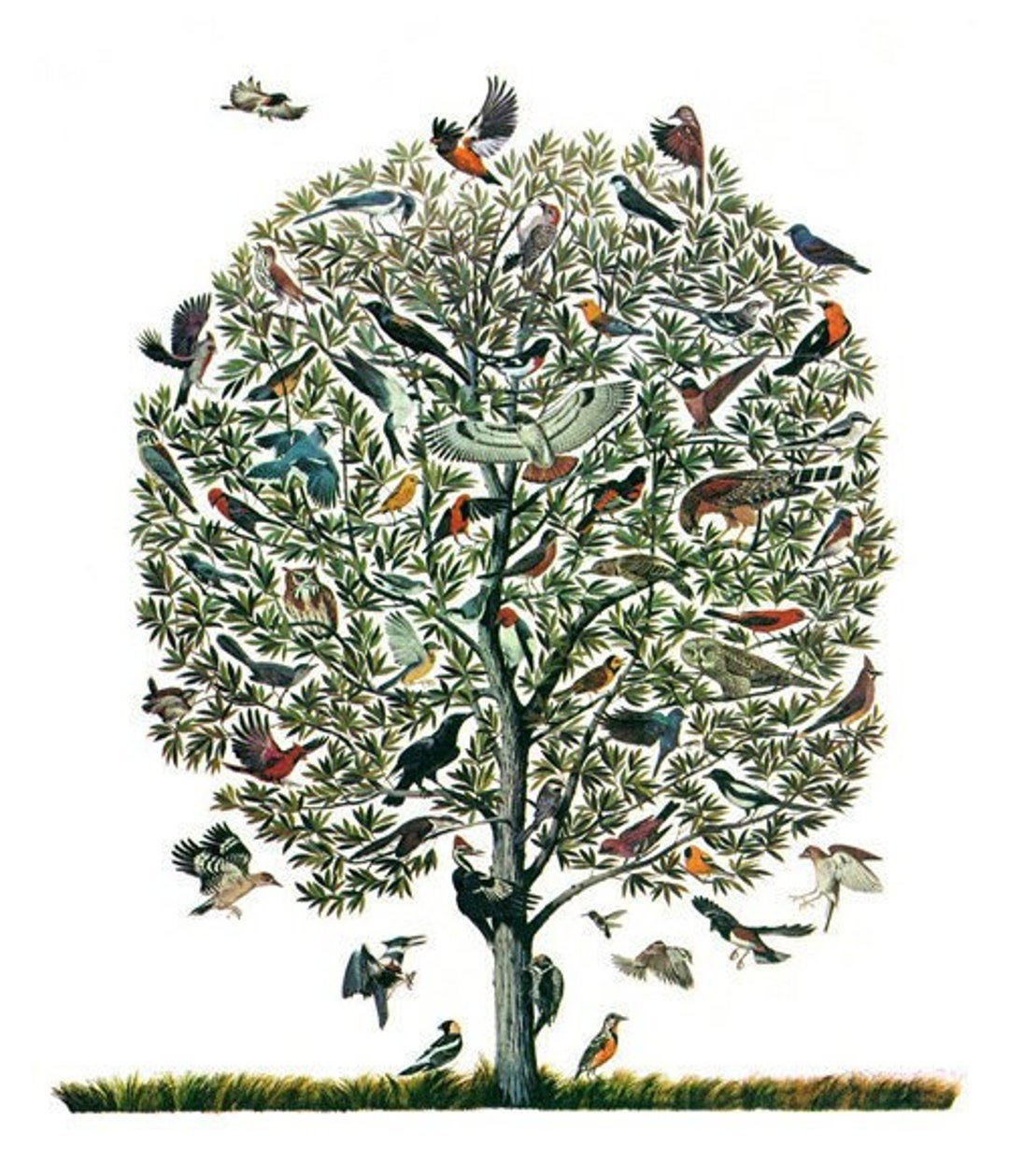 Vintage Feather Print tree of Birds Natural - Etsy Canada