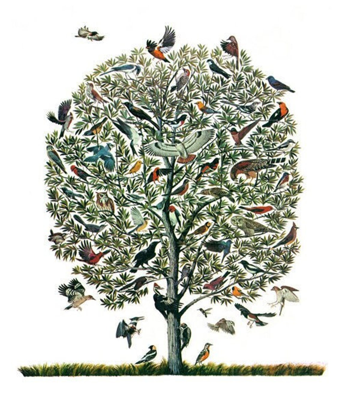 Vintage Feather Print tree of Birds Natural - Etsy Canada