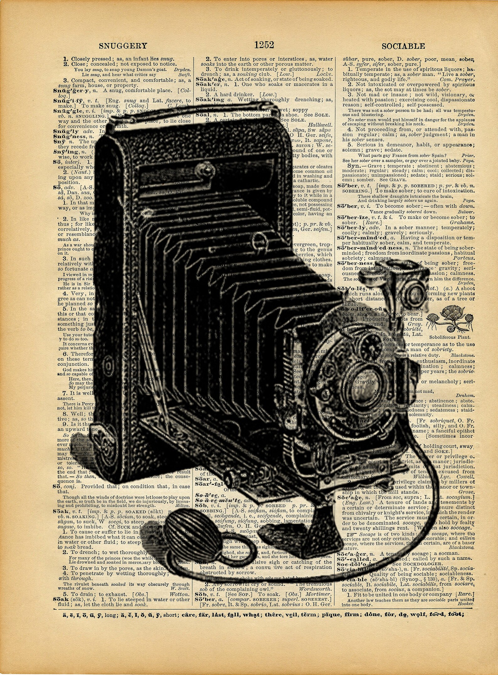 Vintage Camera Art Dictionary Print Upcycled Recycled Antique Book ...
