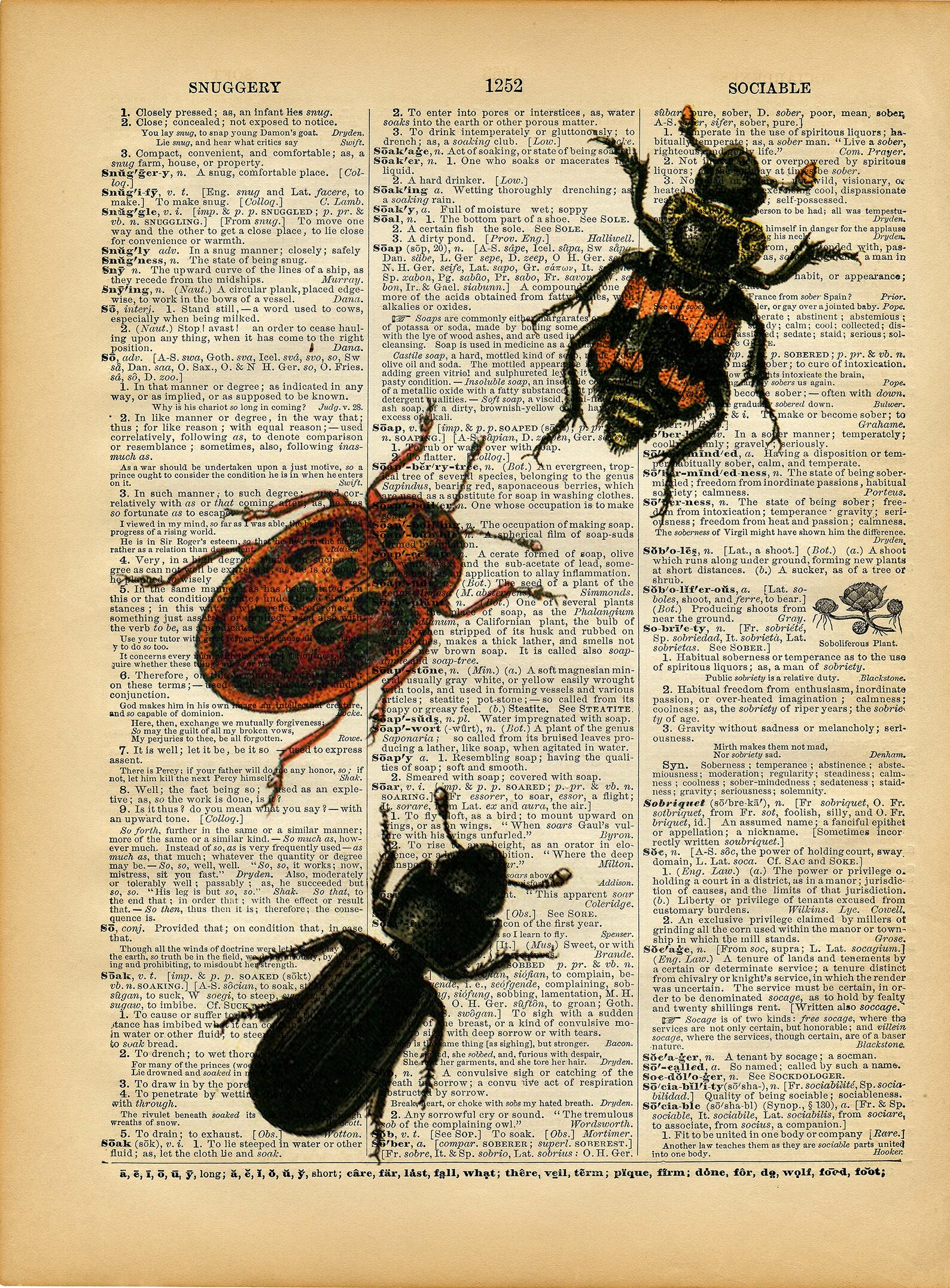 Vintage Book Print Bugs Insects Art Upcycled Antique Book - Etsy