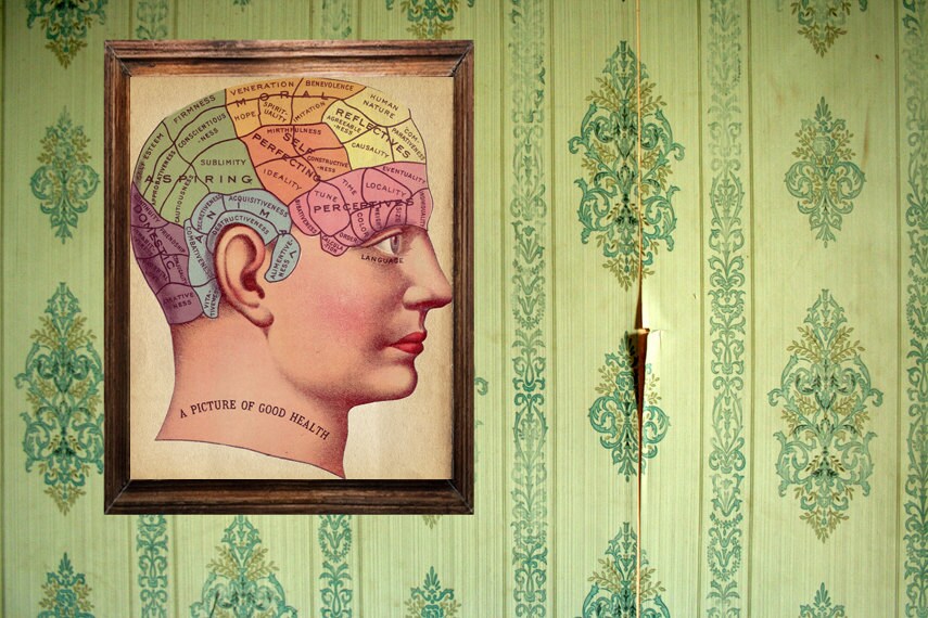 Digital Download Vintage Surreal Art Phrenology Chart | Etsy