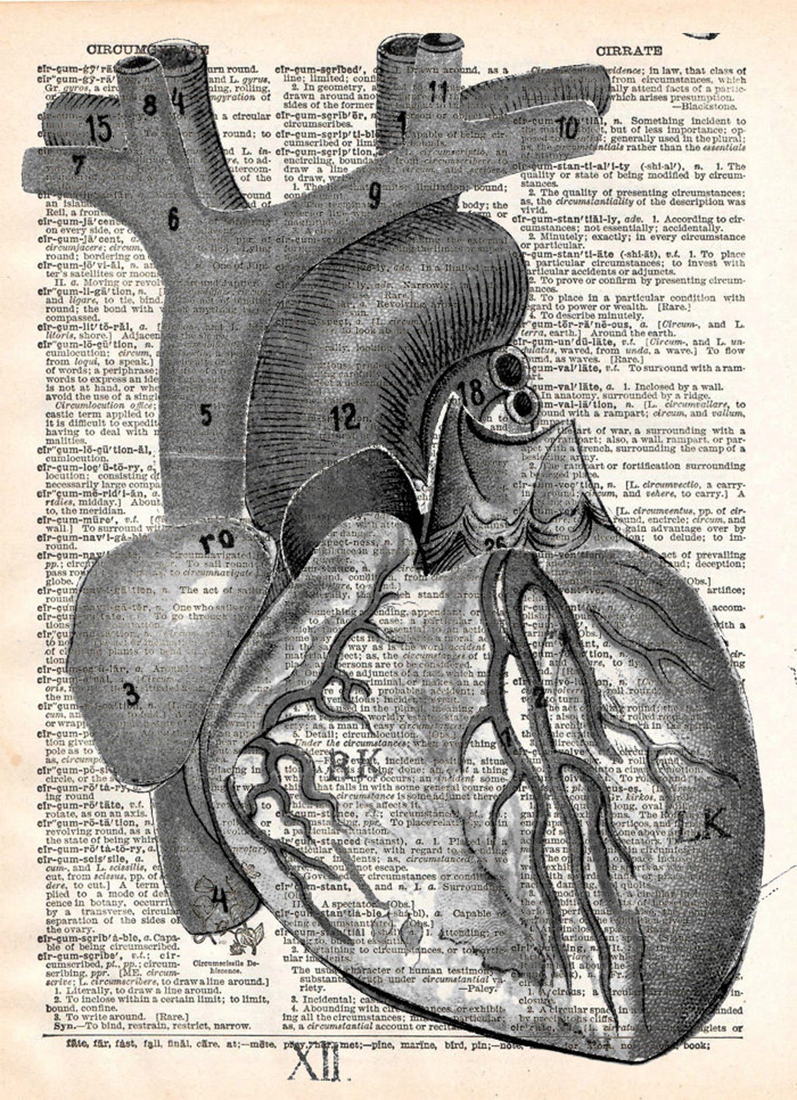 Vintage Book Art Print Anatomical Heart Art Upcycled Book - Etsy