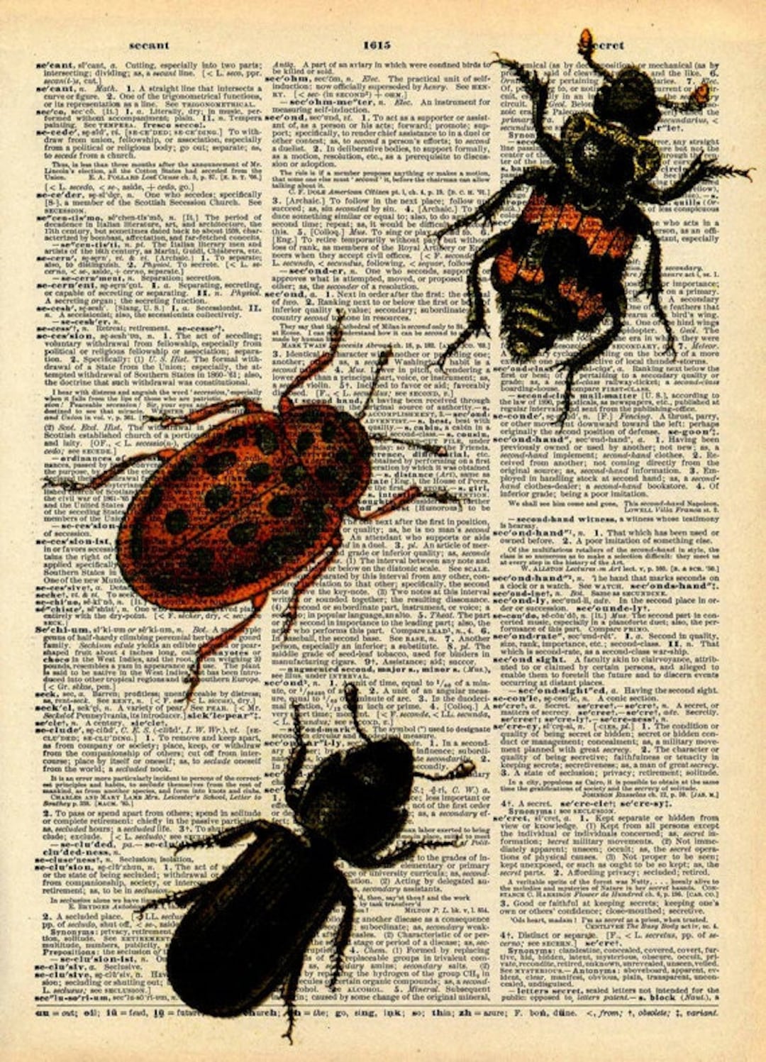 Vintage Book Print Bugs Insects Art Upcycled Antique Book - Etsy