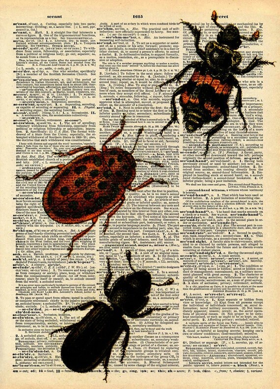 Vintage Book Print Bugs Insects Art Upcycled Antique Book | Etsy