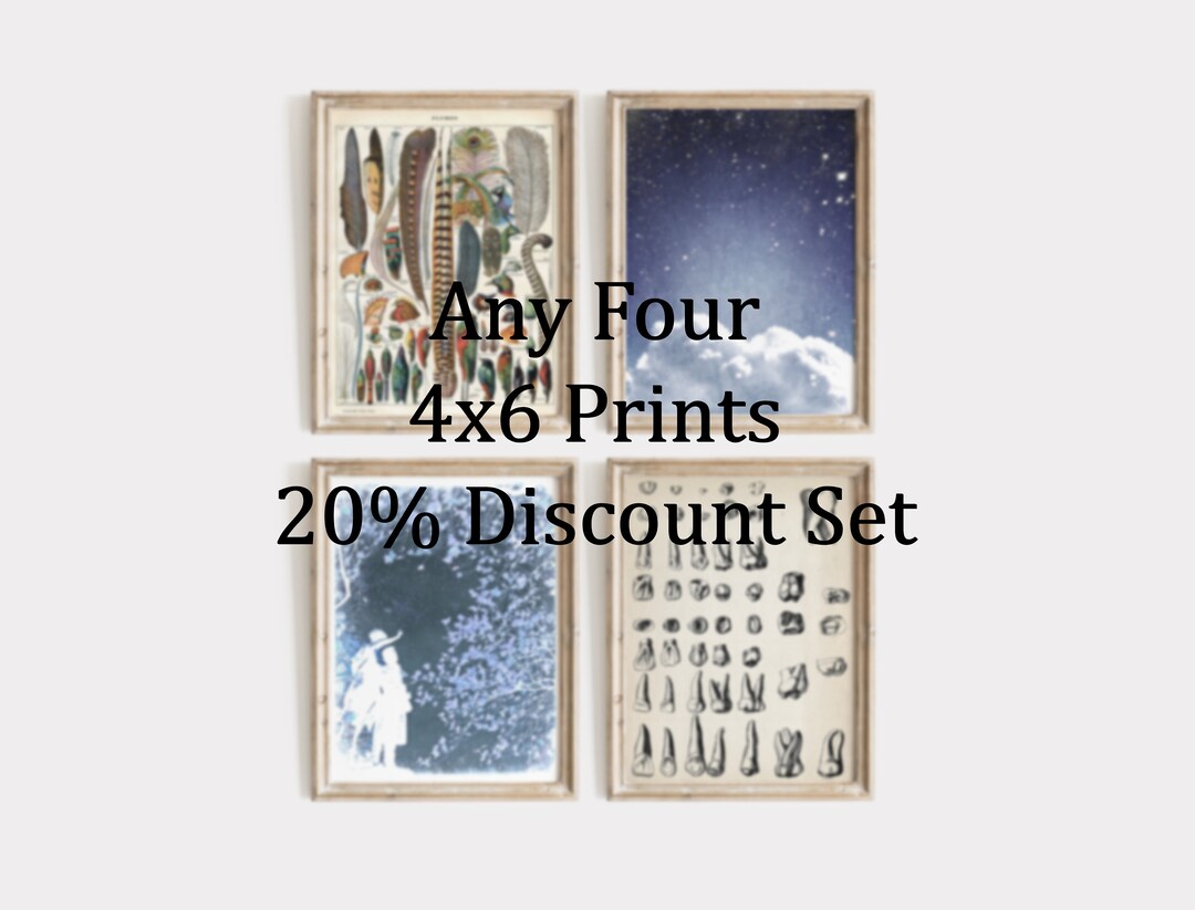 Vintage Inspired Fine Art Prints - Set of Four 4x6 Giclée Prints - Etsy