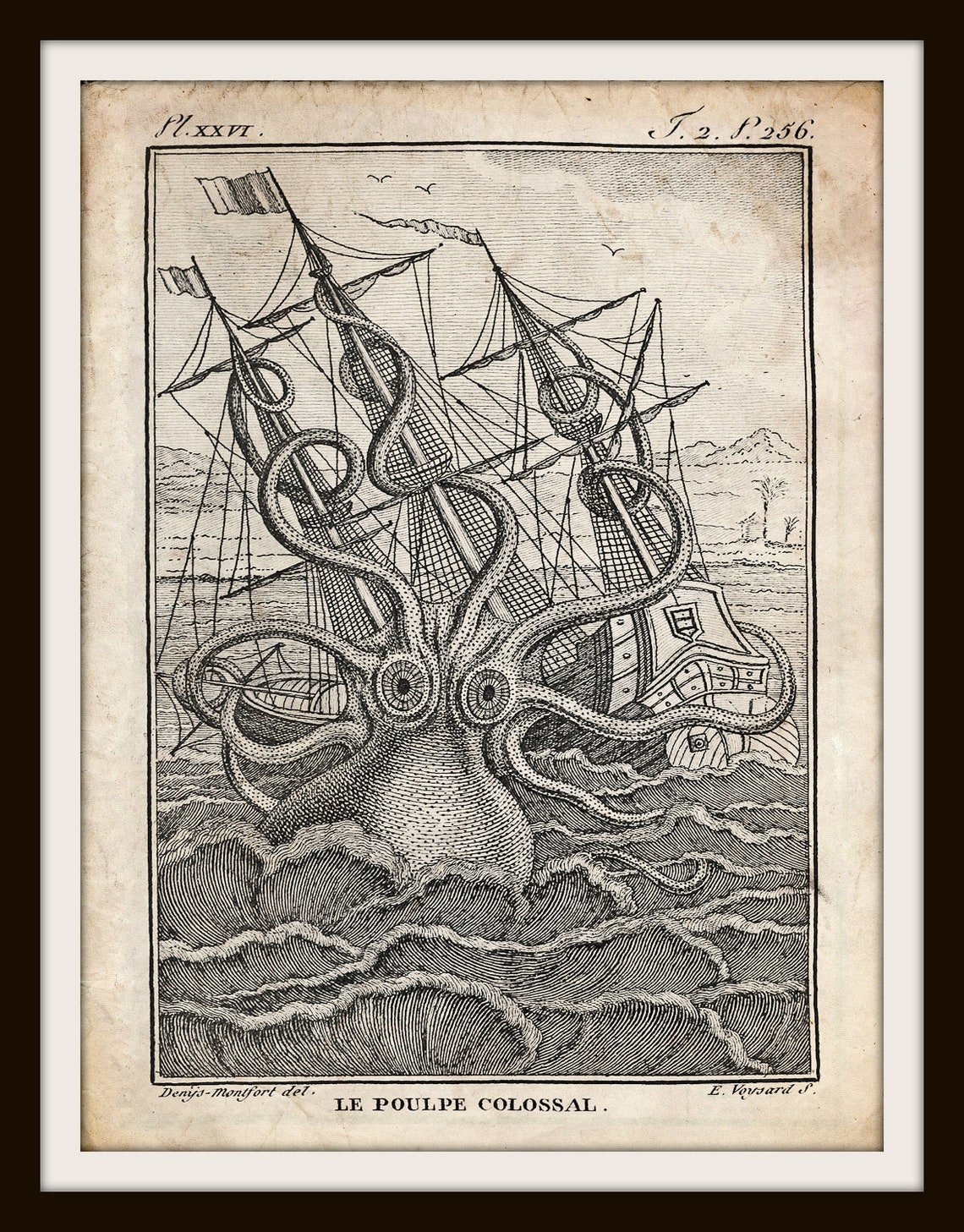 Vintage Sea Monster Print 'colossal Squid Antique - Etsy