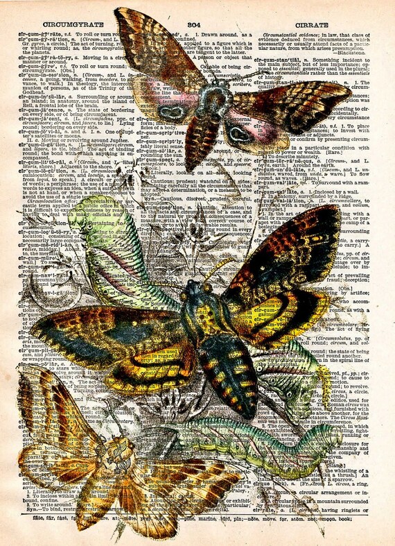 Vintage Book Print Death's Head Moth Upcycled Antique - Etsy