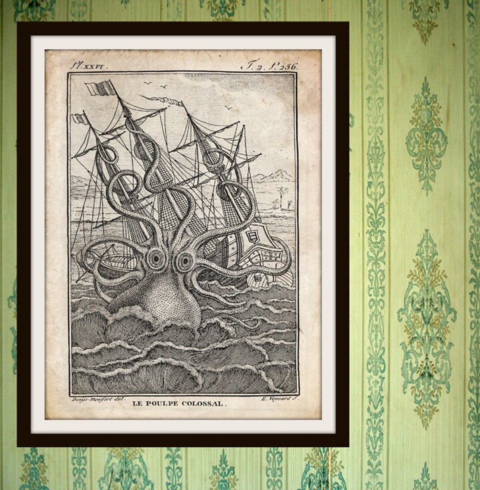 Vintage Sea Monster Print 'colossal Squid Antique - Etsy