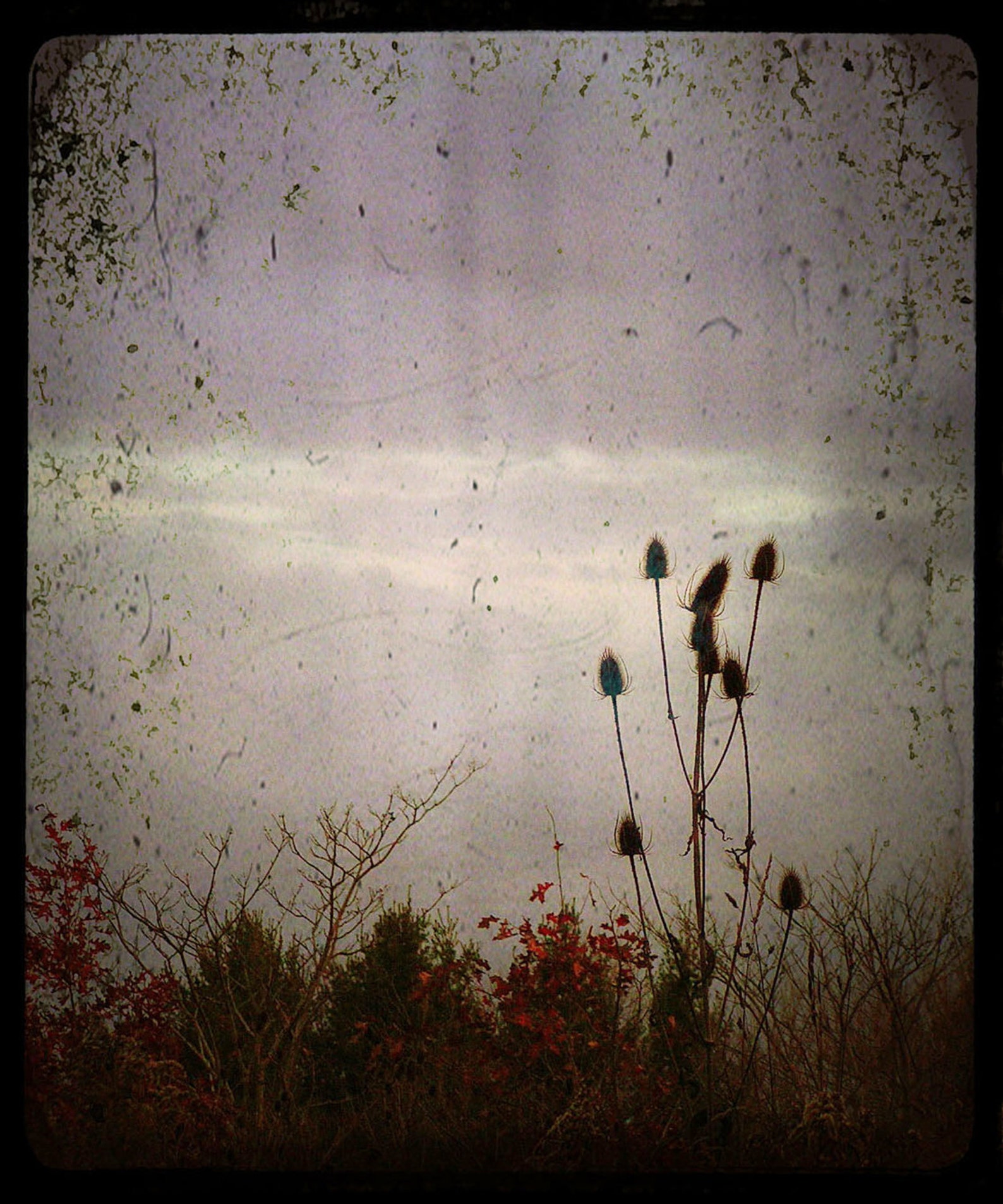 Fine Art Photography Four 5x7 Fine Art Prints Customize - Etsy