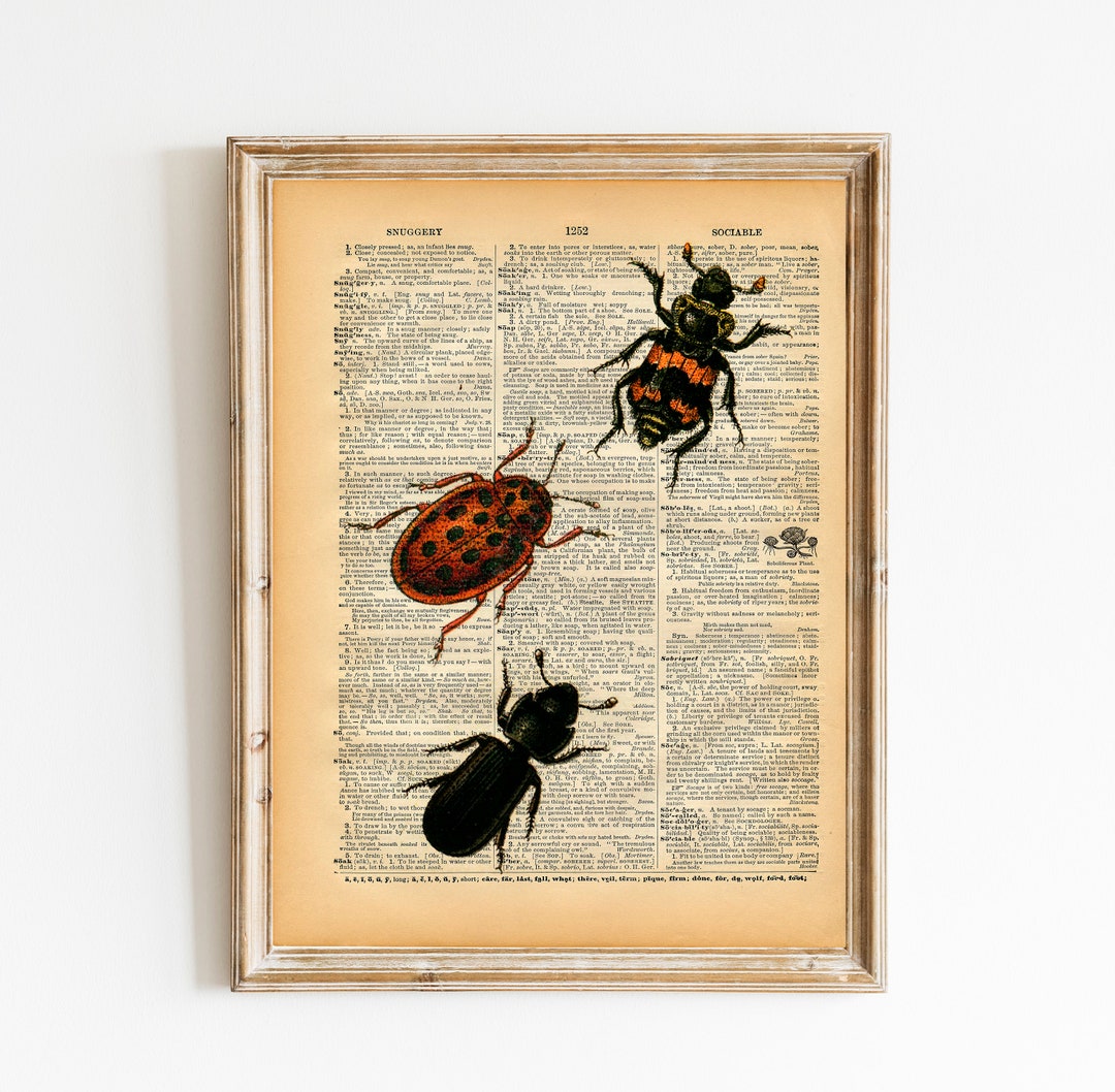 Vintage Book Print - Bugs Insects Art - Upcycled Antique Book Print ...