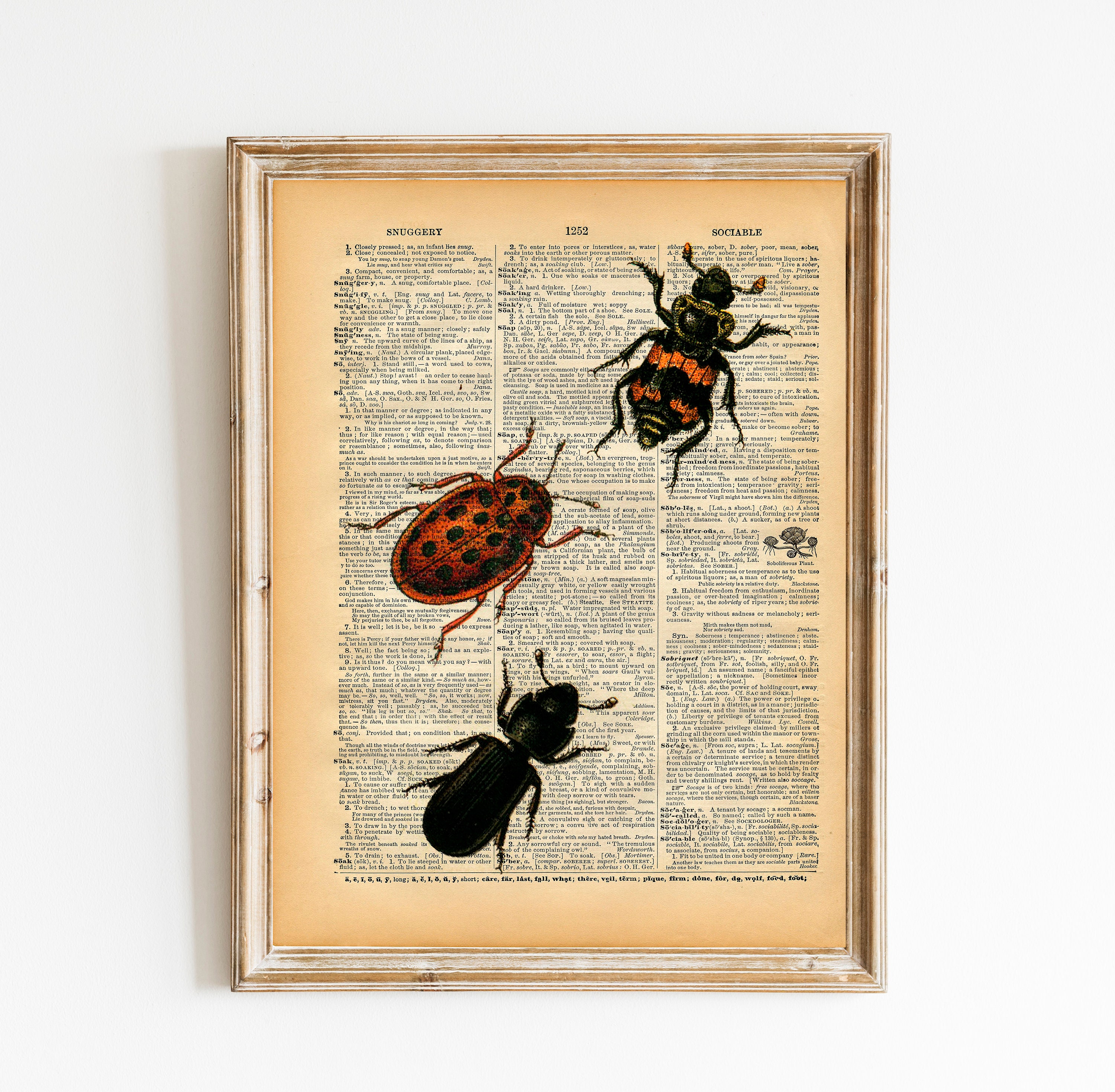 Vintage Book Print Bugs Insects Art Upcycled Antique Book - Etsy