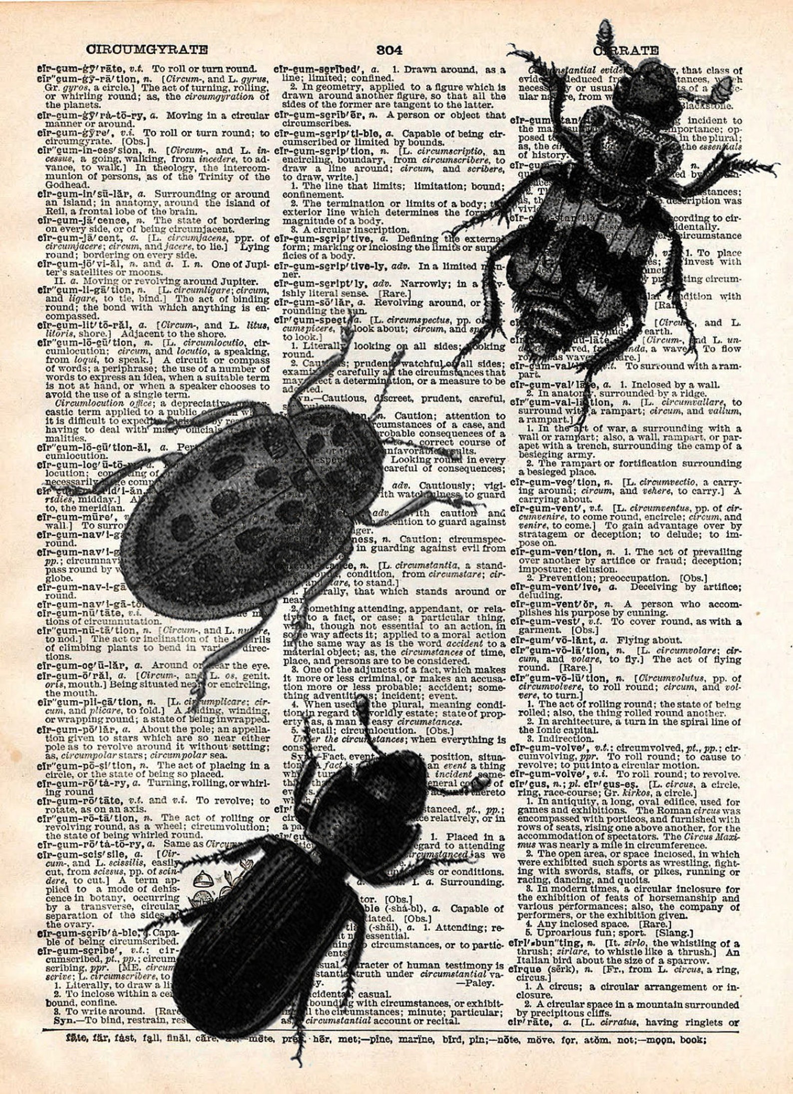 Vintage Book Print Bugs Insects Art Upcycled Antique Book | Etsy