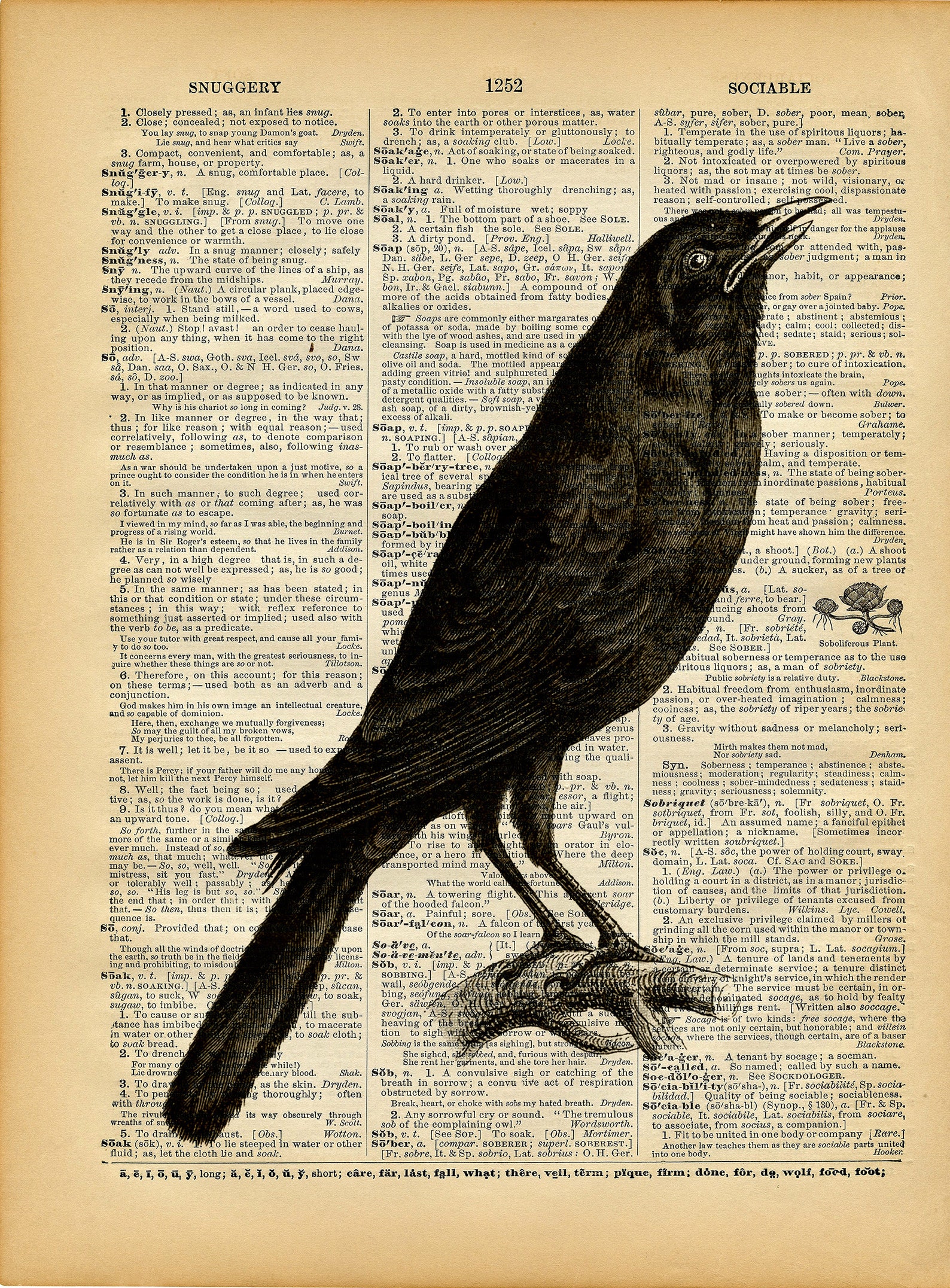 Vintage Book Art Crow Print Natural History Bird Art Print Upcycled ...