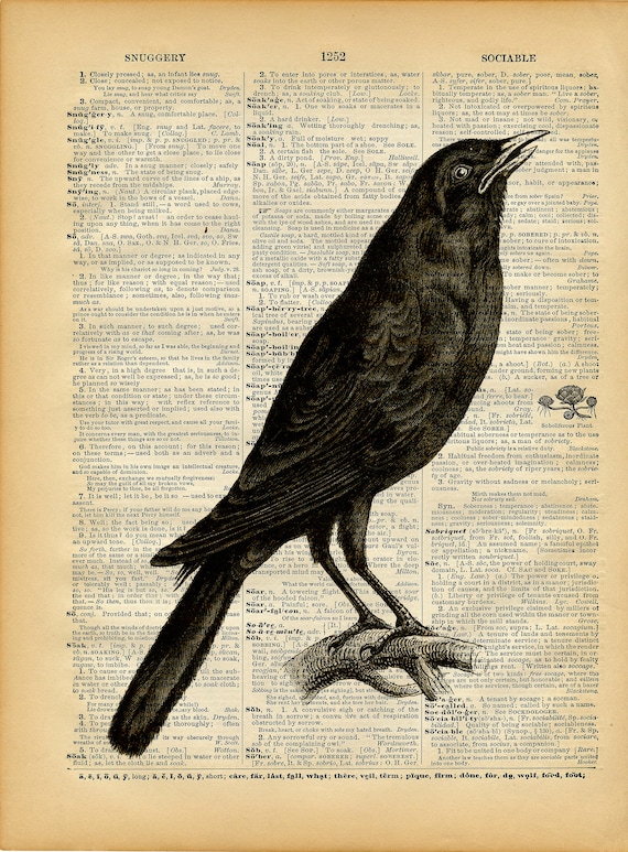 Insanity Crow