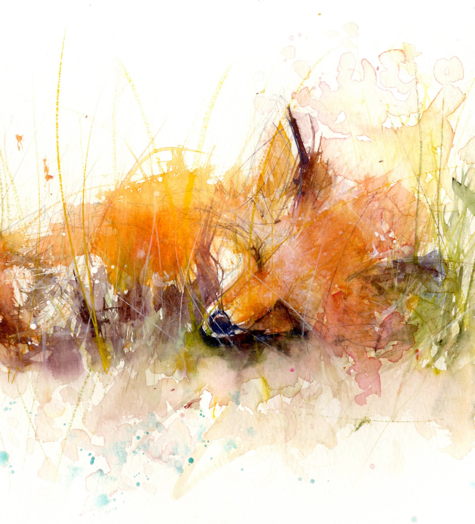 Fox Print LIMITED Edition PRINT of 'sleeping FOX' | Etsy