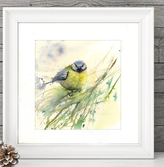 Blue Tit Bird LIMITED Edition Print Wall Art Home Decor - Etsy