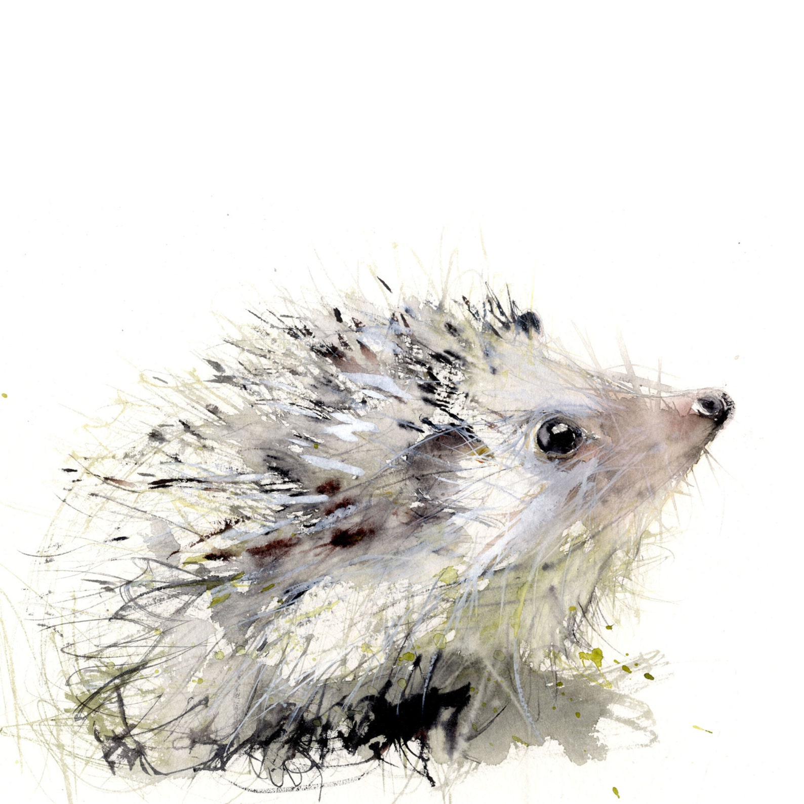 Hedgehog Print Limited Edition Print of My HEDGEHOG Printed - Etsy