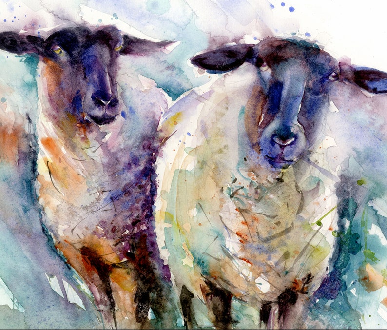 Sheep print limited edition from original watercolour ref | Etsy