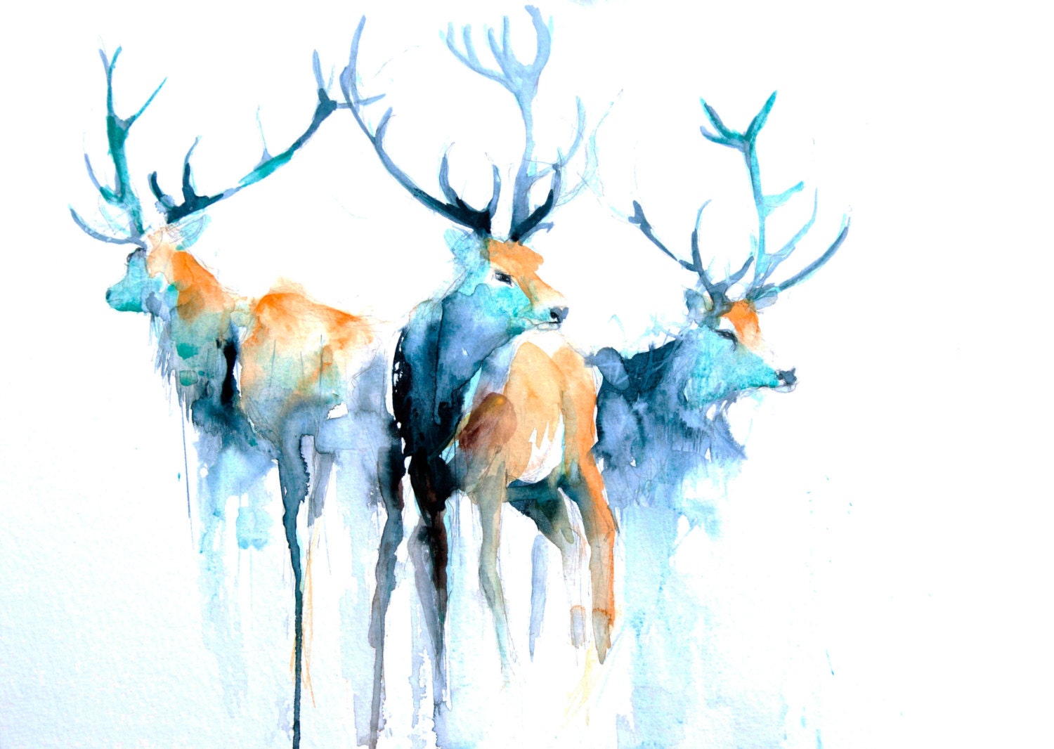 Print of My STAGS Archival Quality Paper. Hand Signed | Etsy