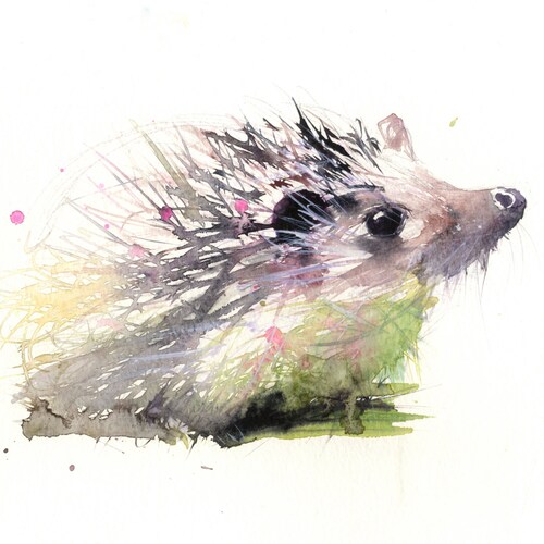 Hedgehog Print Limited Edition Print of My HEDGEHOG Printed - Etsy