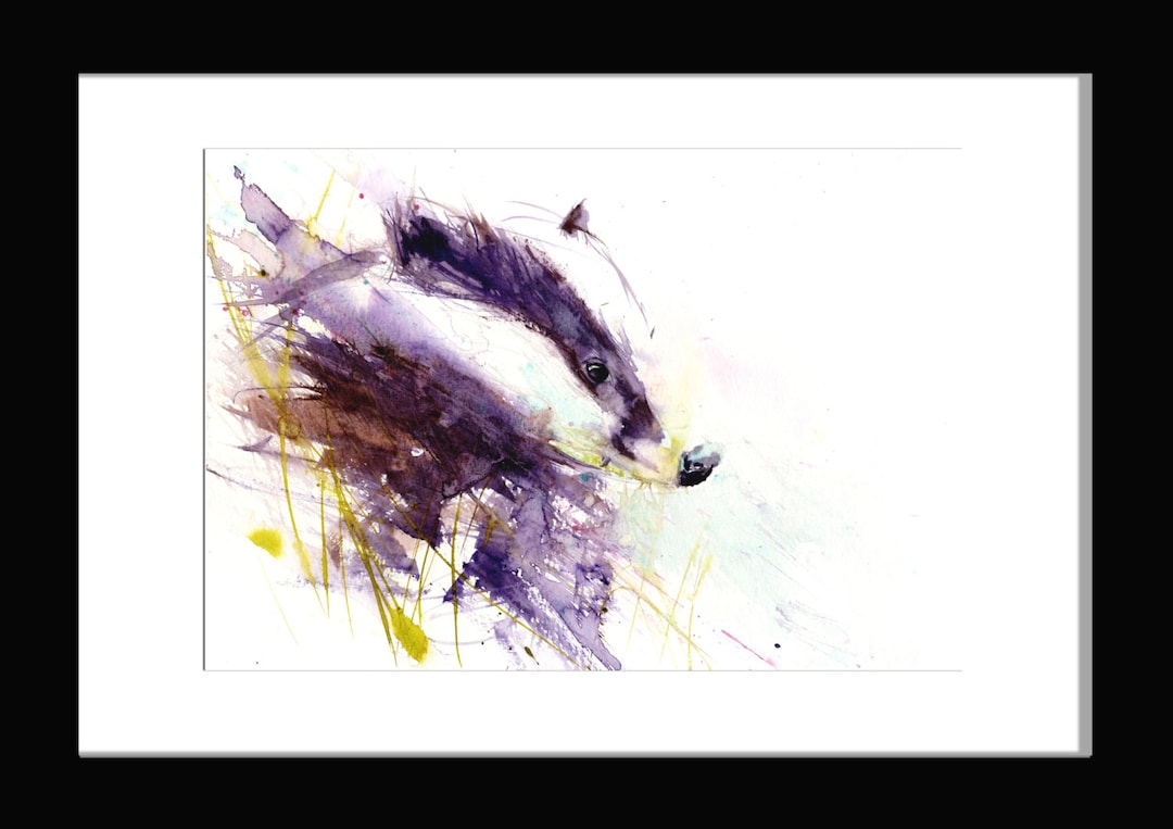 Limited Edition Badger Print: Original Watercolor Animal Art - Etsy