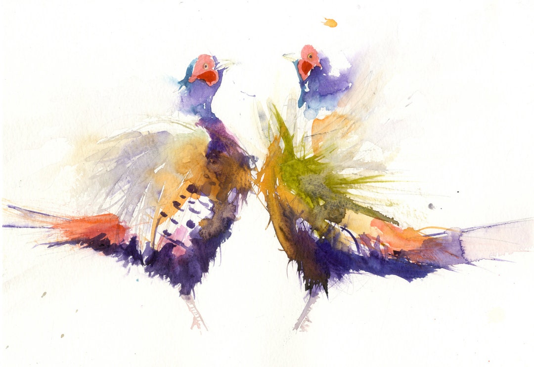 Pheasant Watercolour Print, From Original Painting, Limited Edition ...