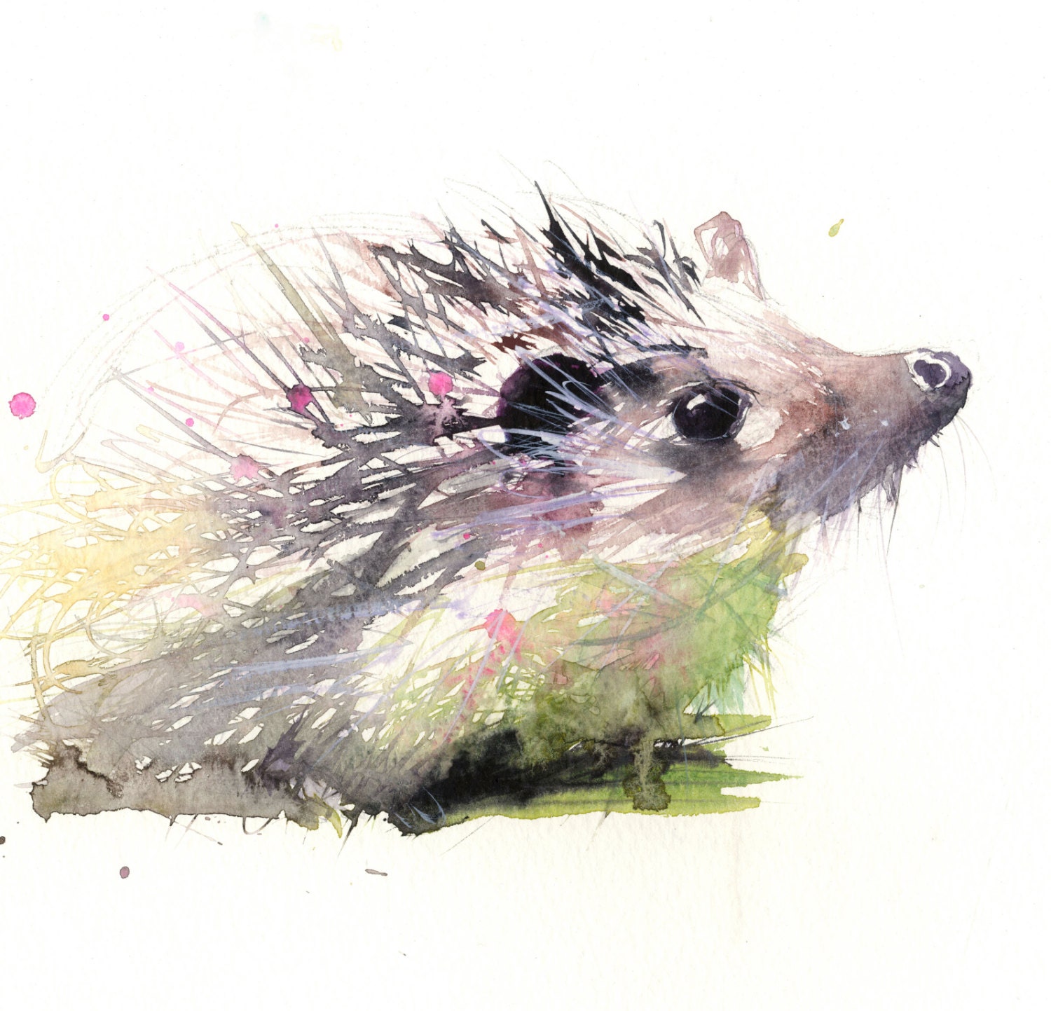 Hedgehog Print Limited Edition Print of My HEDGEHOG Printed - Etsy ...