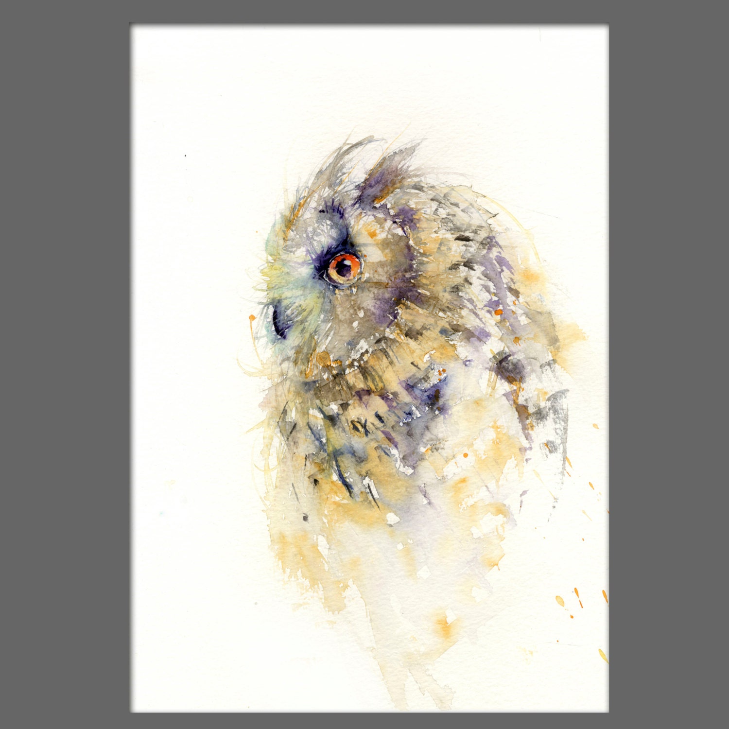 LIMITED Edition Print of My OWL Printed Using HD Pigment Onto Archival ...