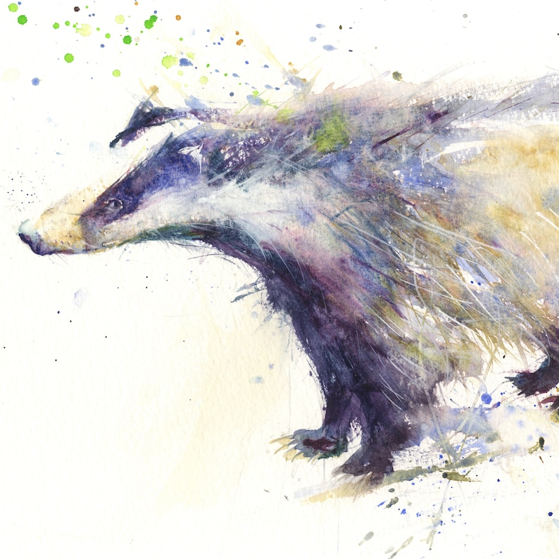 LIMITED Edition Print of BADGER Wall Art Home Decor Nursery - Etsy UK