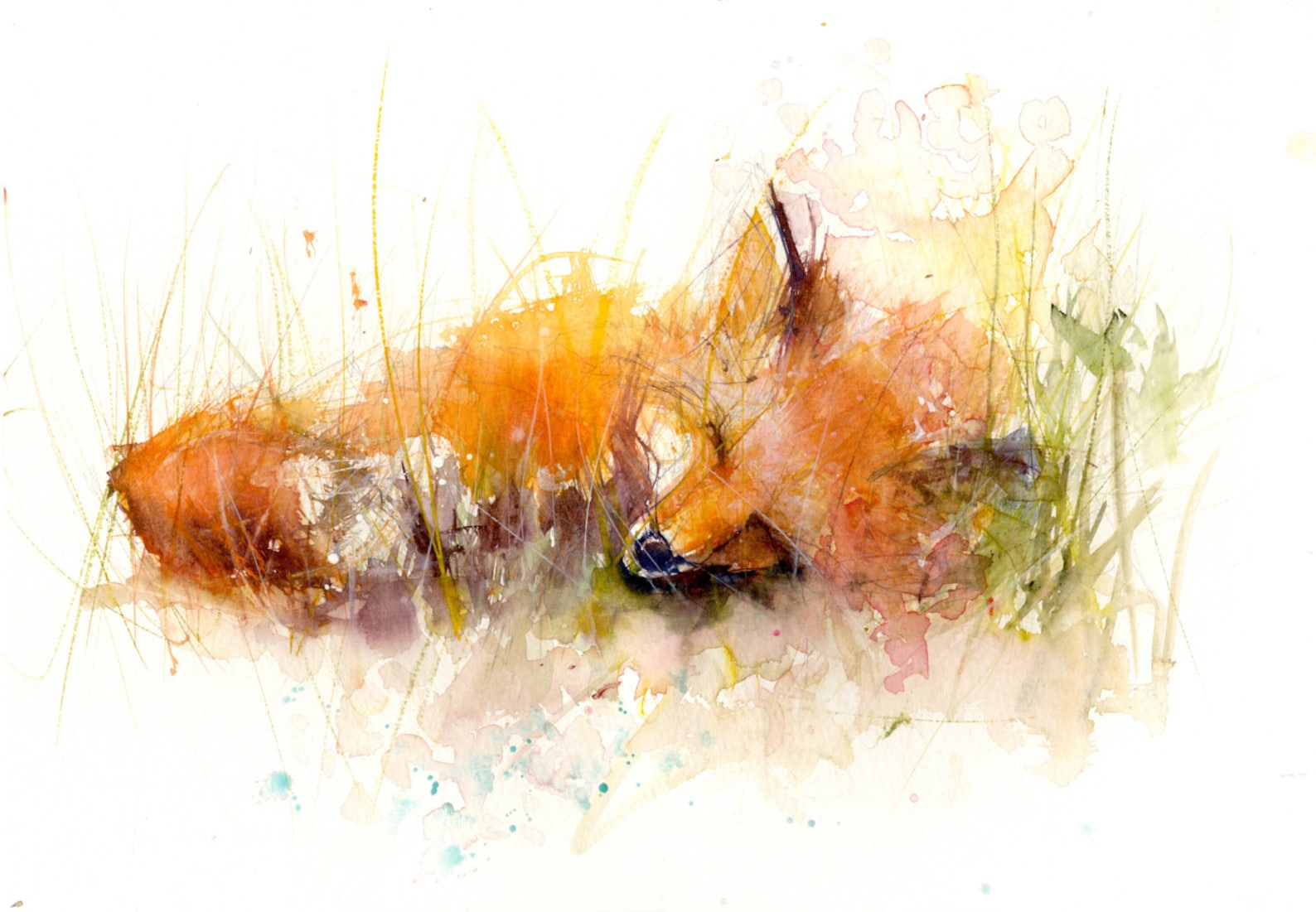 Fox Print LIMITED Edition PRINT of 'sleeping FOX' | Etsy