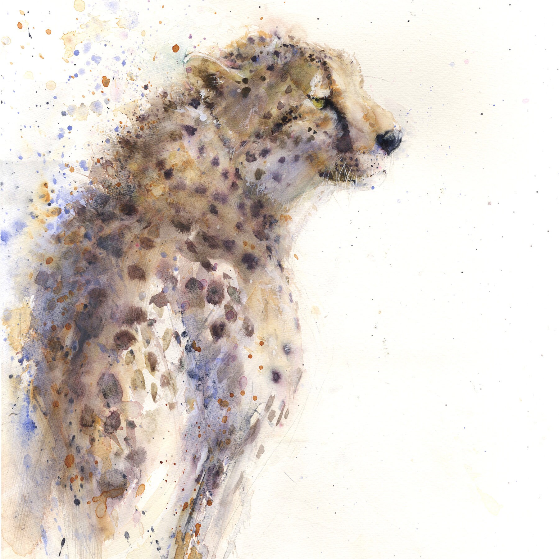 CHEETAH Watercolour Print From Original Watercolour Painting Hand ...