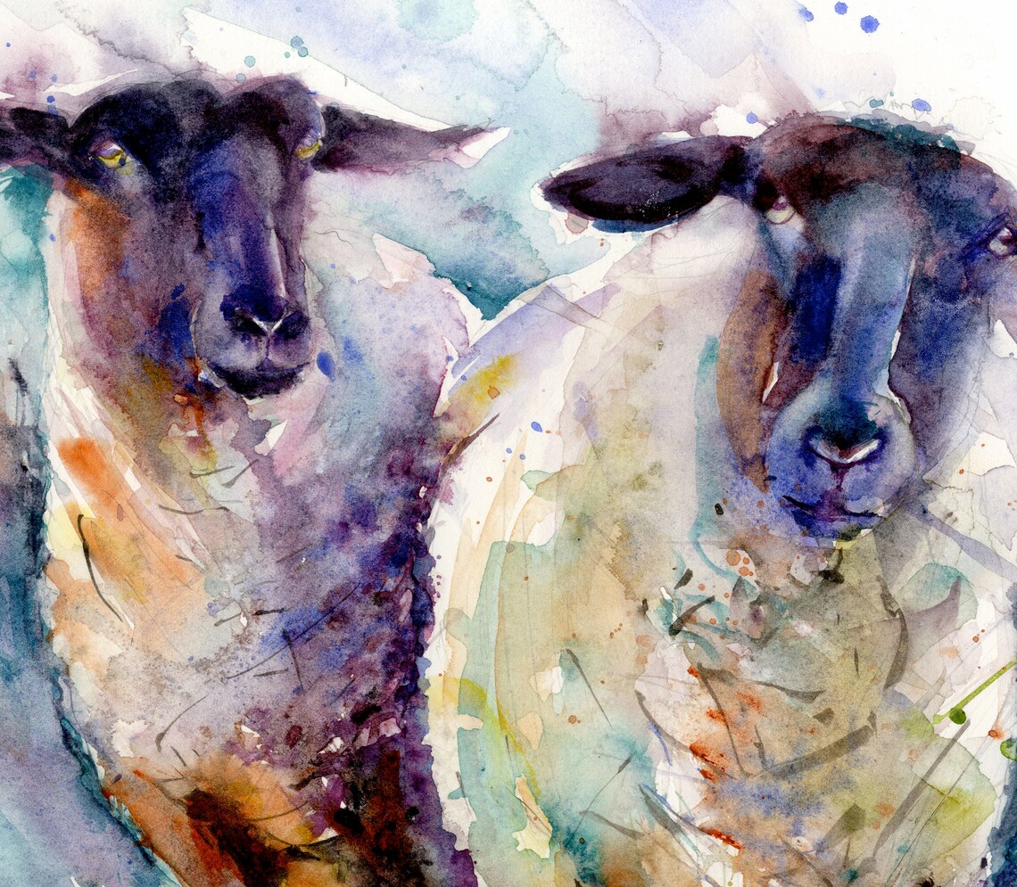 Sheep print limited edition from original watercolour ref | Etsy