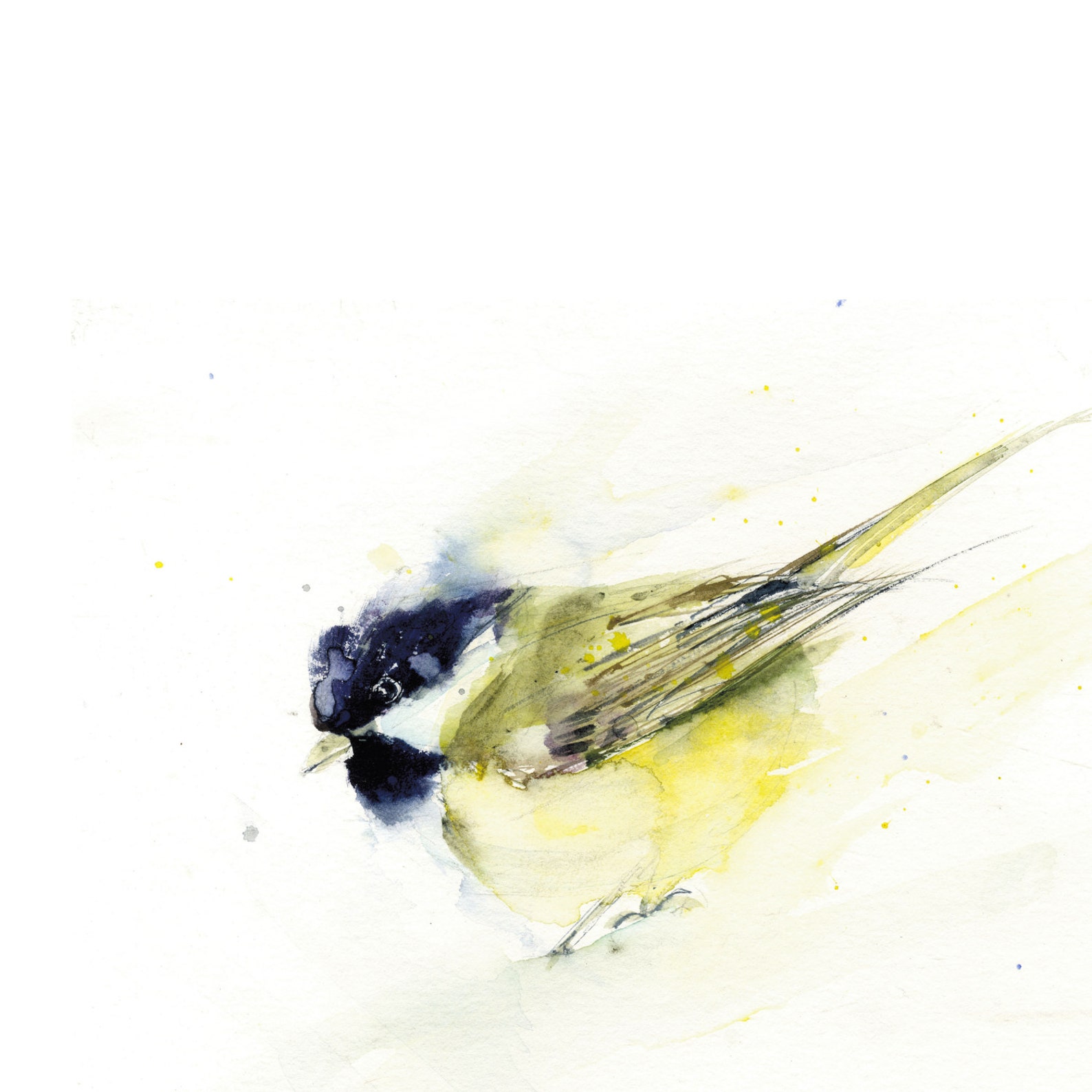 Great Tit Bird Watercolor Print, Contemporary Animal Art - Etsy Australia