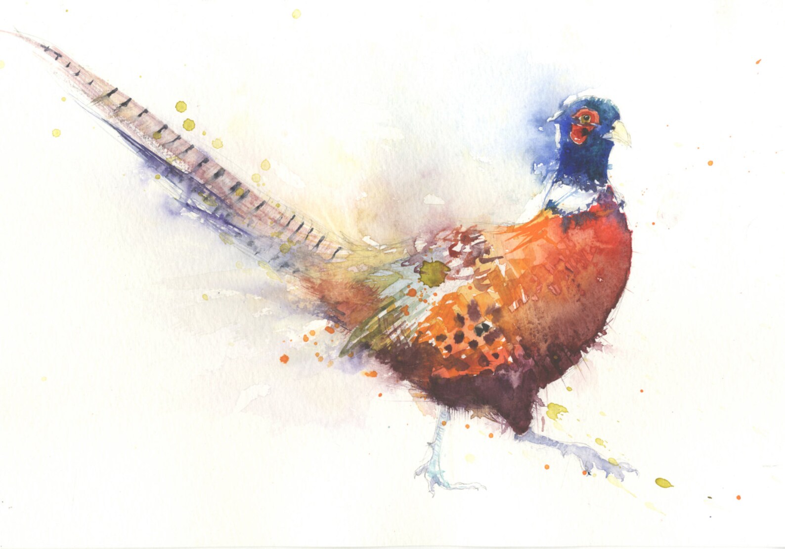 Pheasant print from original painting limited edition | Etsy