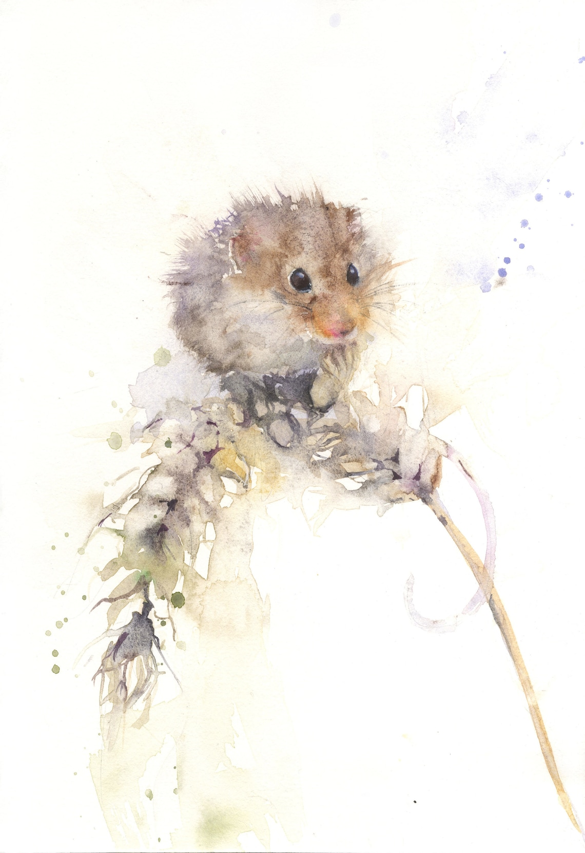 Field Mouse Print Limited Edition Print 'alice' Field | Etsy