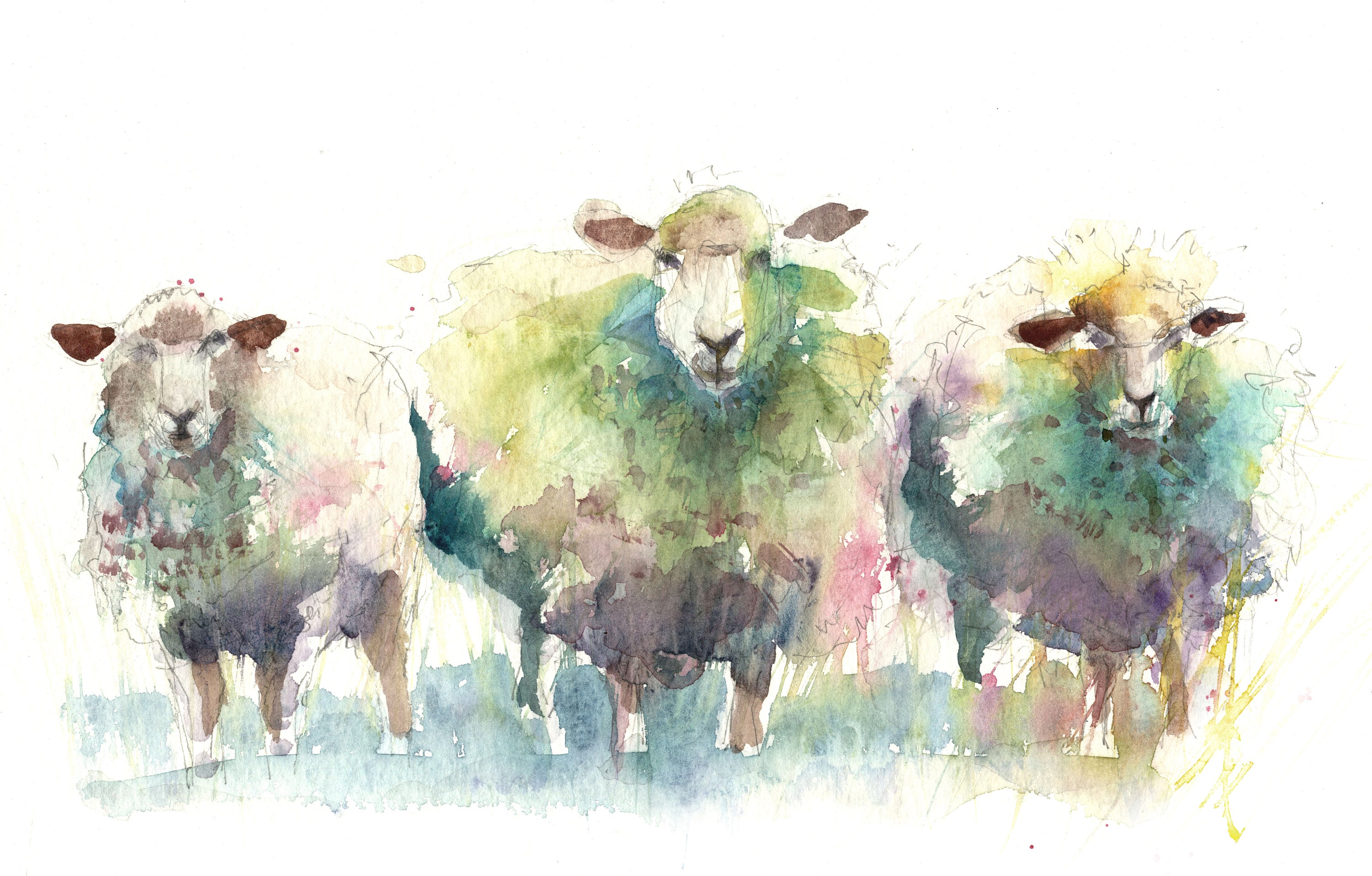 LIMITED Edition Print of Swaledale Sheep Wall Art, Home Decor, Nursery ...