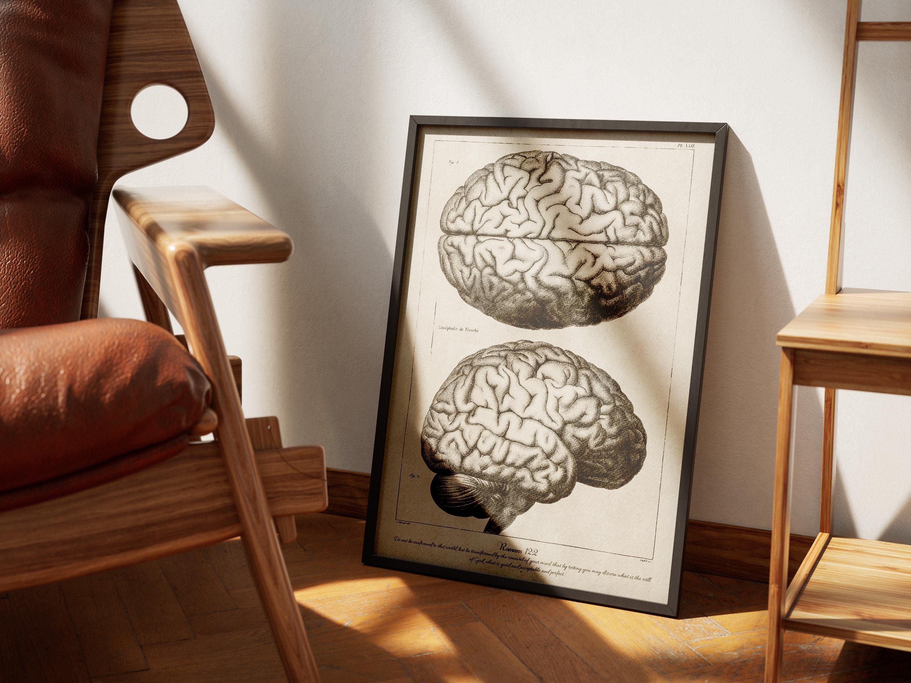 Romans 12:2 Bible Verse Vintage Medical Illustration of the Brain ...