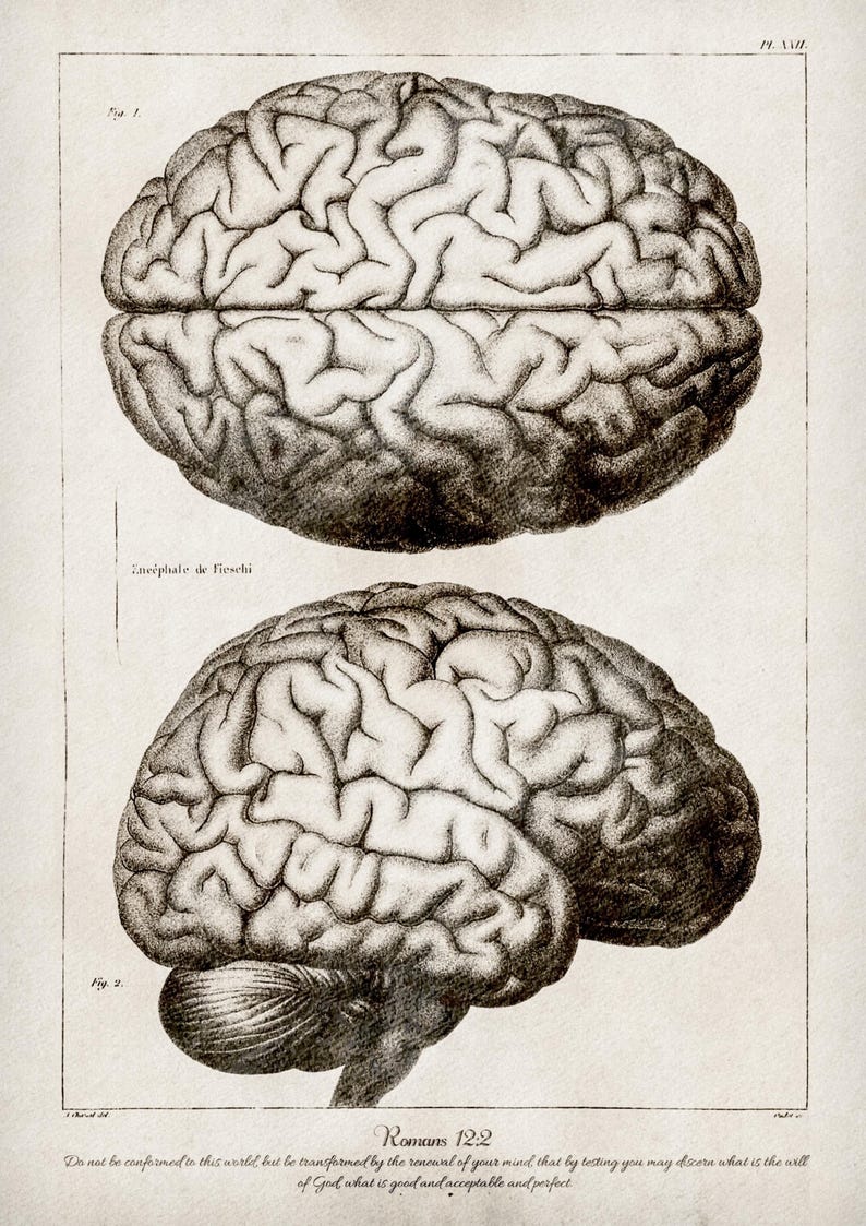 Romans 12:2 Bible Verse Vintage Medical Illustration of the Brain ...