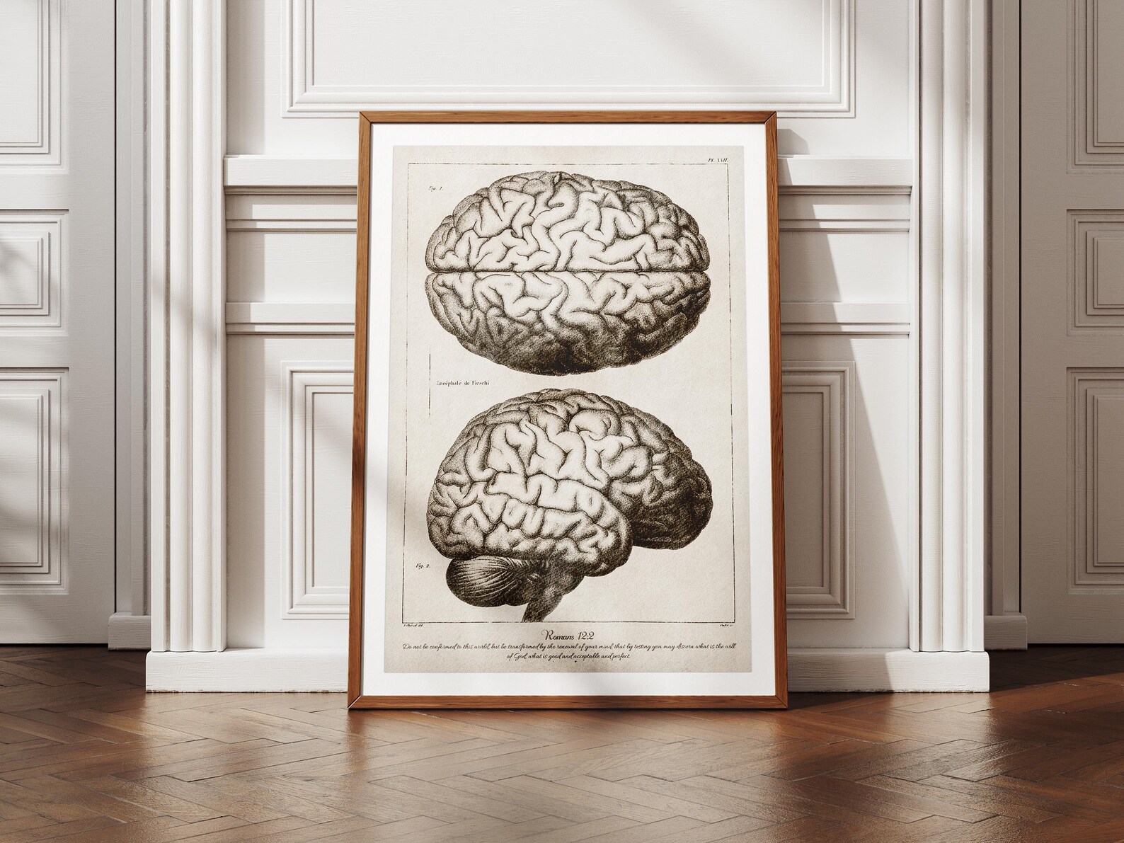 Romans 12:2 Bible Verse Vintage Medical Illustration of the Brain ...