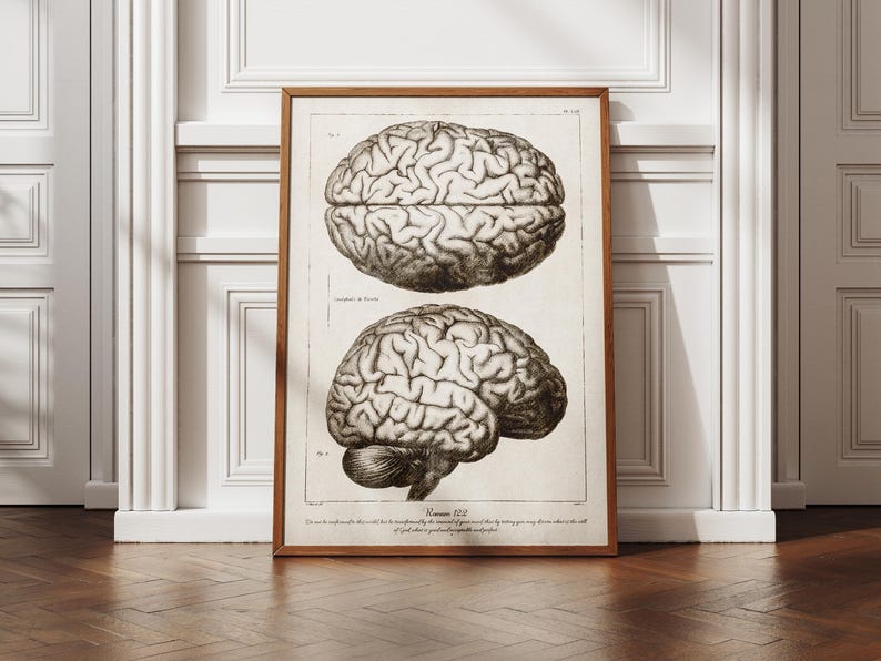 Romans 12:2 Bible Verse Vintage Medical Illustration of the Brain ...