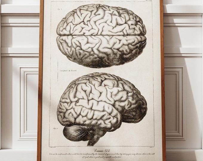 Romans 12:2 Bible Verse Vintage Medical Illustration of the Brain ...