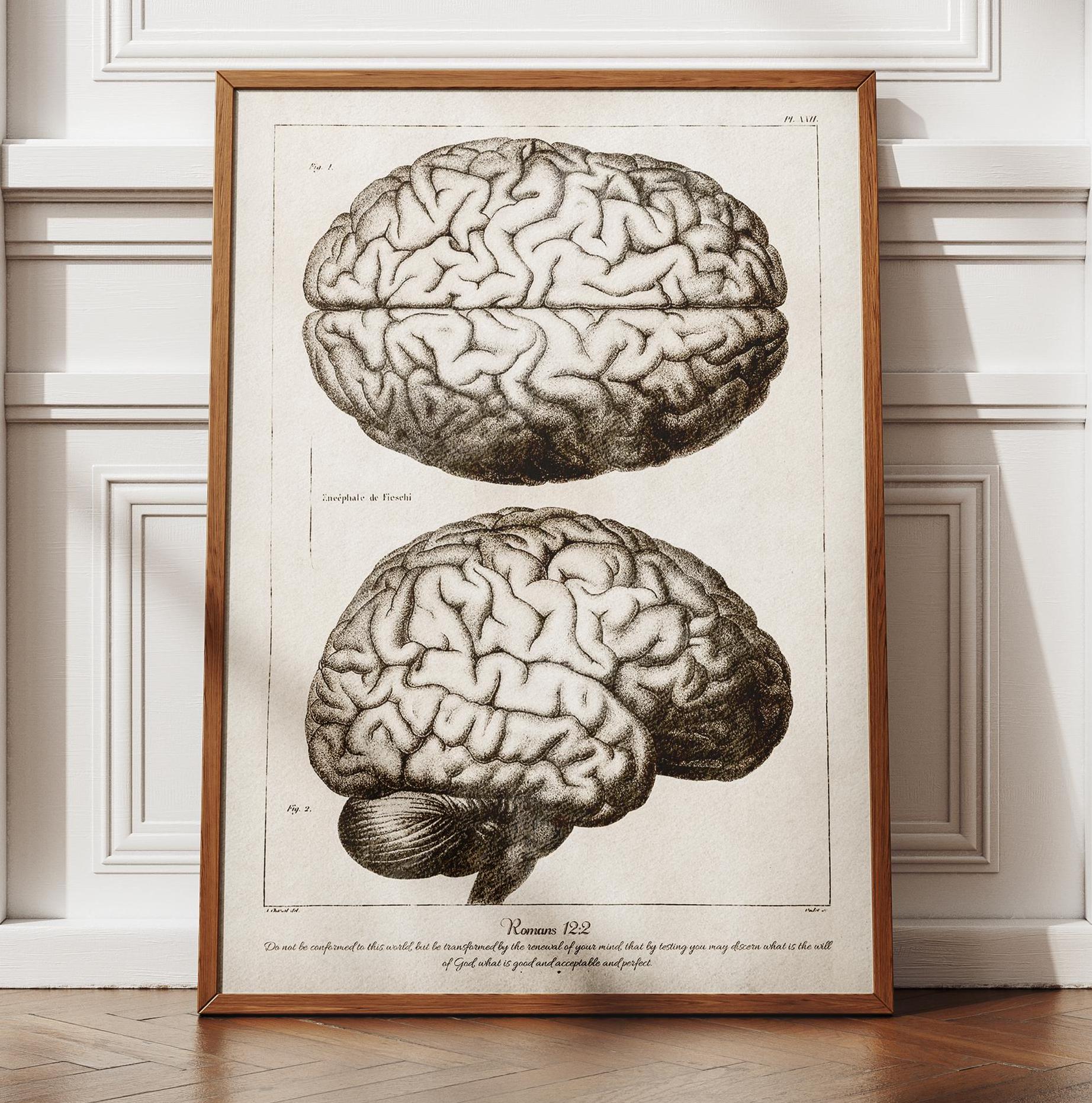 Romans 12:2 Bible Verse Vintage Medical Illustration of the Brain ...