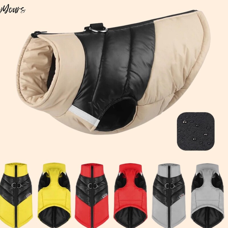 Perrito con traje - Etsy México