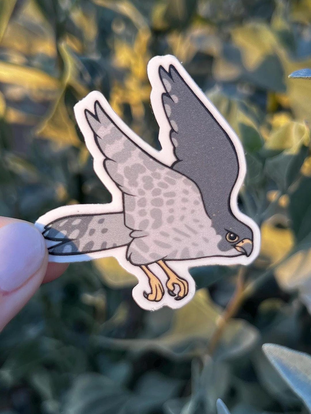 Peregrine Falcon Sticker - Etsy