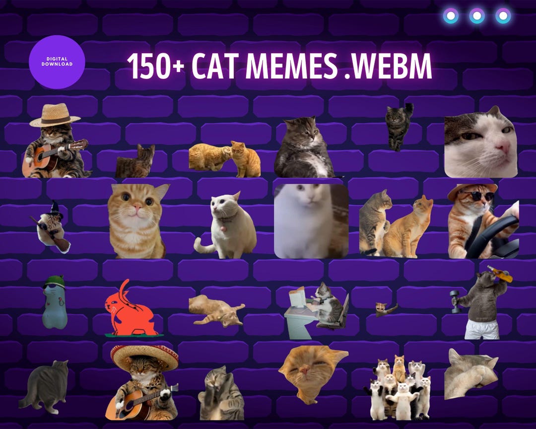Twitch Alerts Cat Meme WEBM Bundle | Transparent Streamer Overlays ...