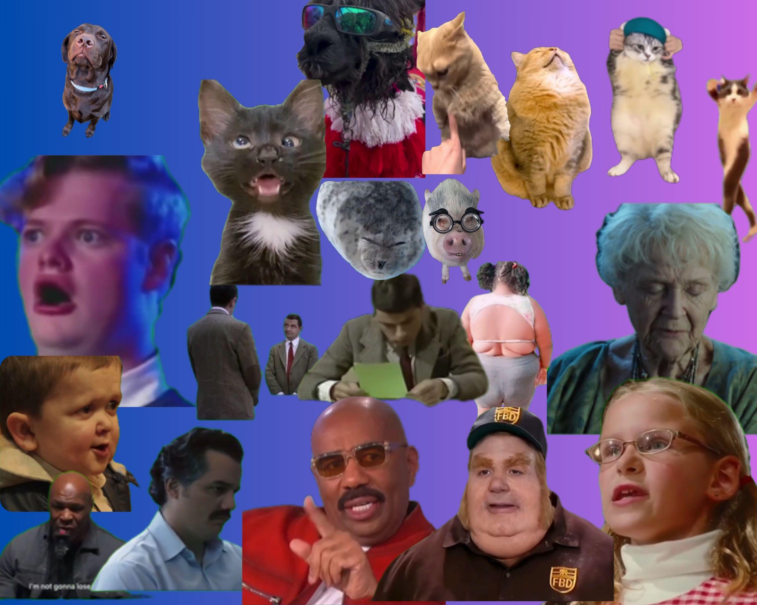 1200+ Animated Meme Emotes – WEBM Overlay Bundle for Twitch, Youtube ...