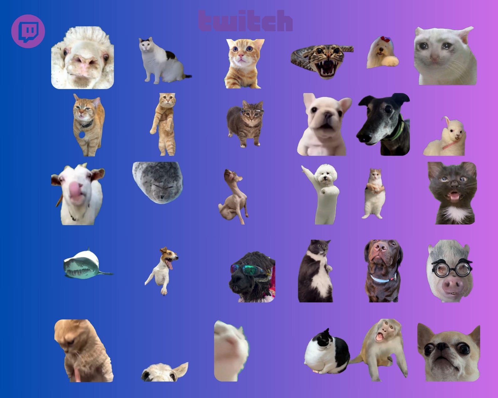 1200+ Animated Meme Emotes – WEBM Overlay Bundle for Twitch, Youtube ...