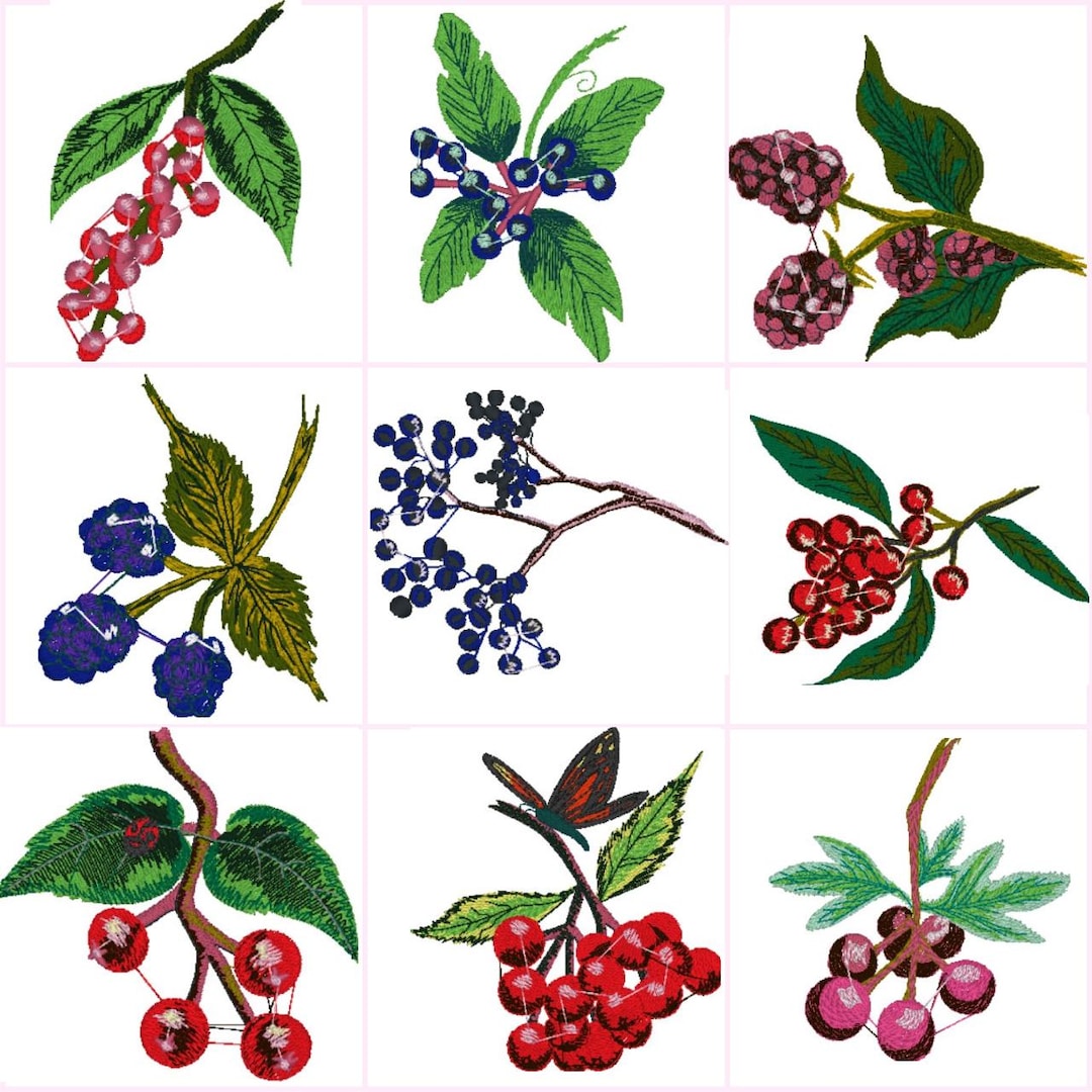 Berries Berry Fruit Machine Embroidery Files Set of 9 Dst,exp,hus,jef ...