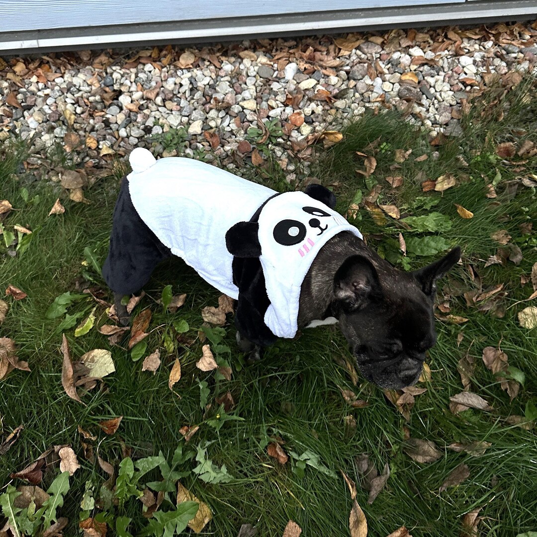 Panda Dog Costume Halloween Dog Costume Christmas Dog Costume Funny Dog ...